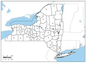 Free Printable Outline Blank Map of New York [PNG/PDF]